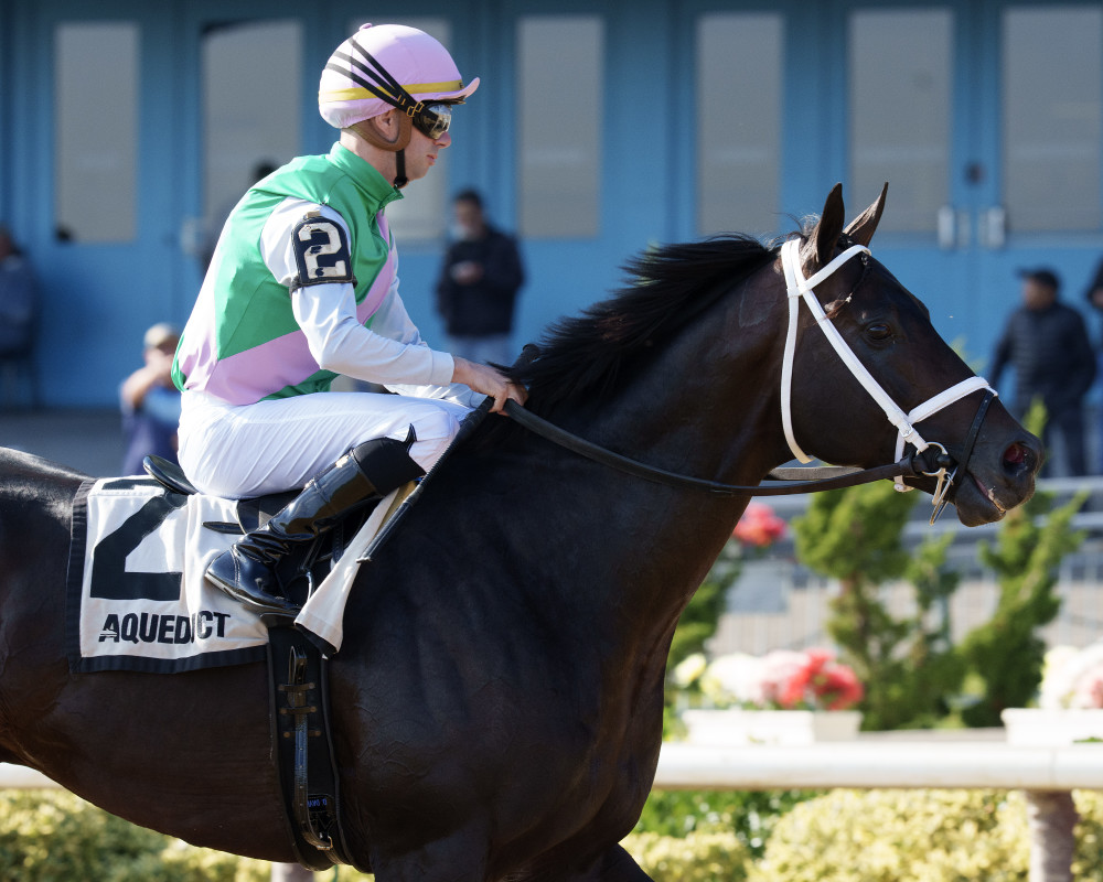 Unbeaten Disco Time tabbed morning-line favorite for Pegasus World Cup
