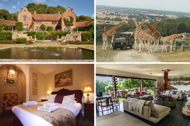 The Kent hotel that feels like ‘a safari’ named as one of the UK’s most ...