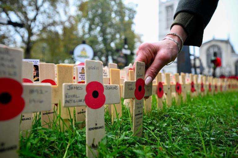 Remembrance Sunday 2025: Parade times and how to watch