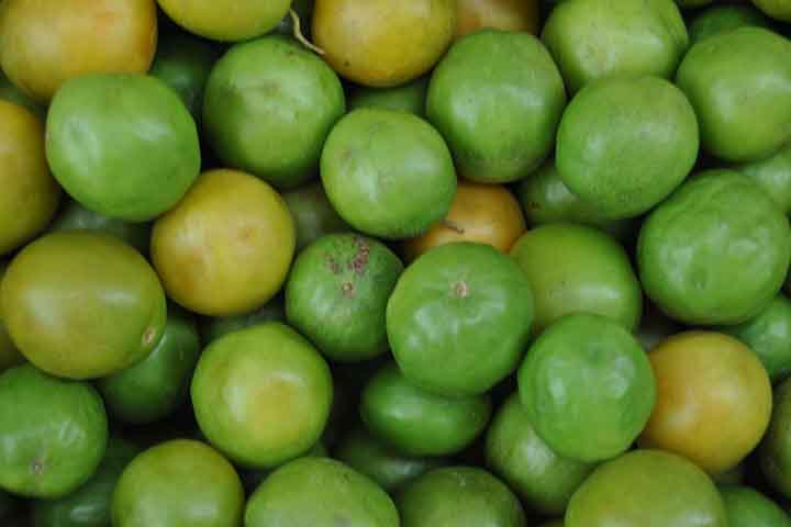 Umbu: fruto símbolo da Caatinga tem alto valor científico e nutricional