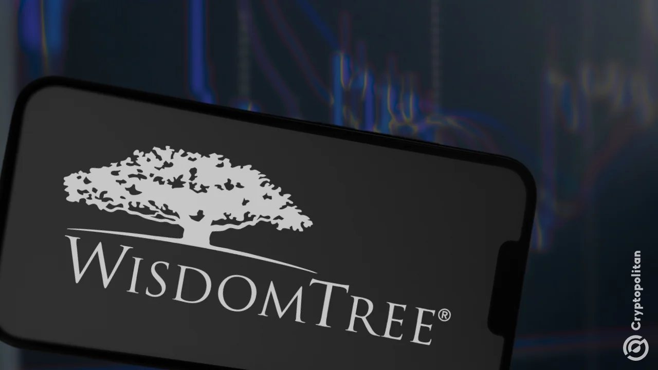 WisdomTree files for ETF tracking the 20 largest digital assets by ...
