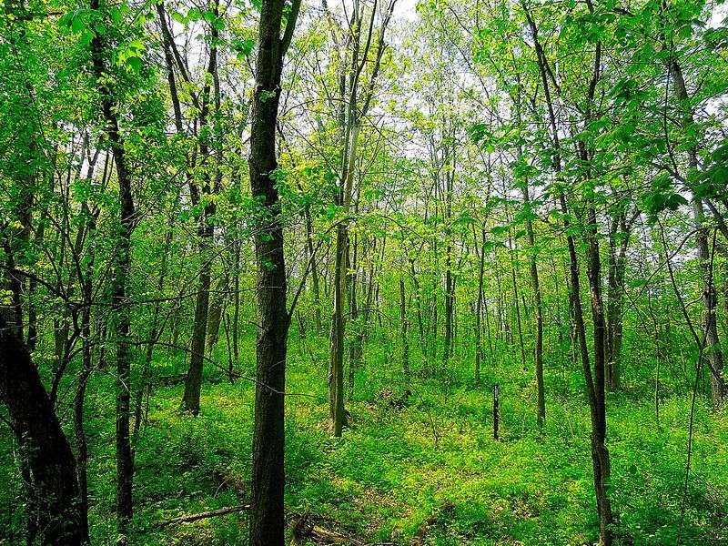 Wisconsin’s Ice Age Trail Feels Like Something Out of a Fairytale