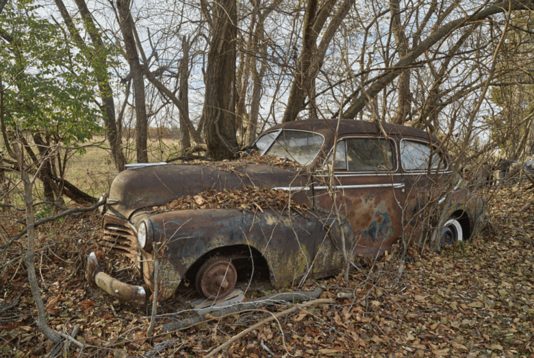 Haunting photos of forgotten classic cars