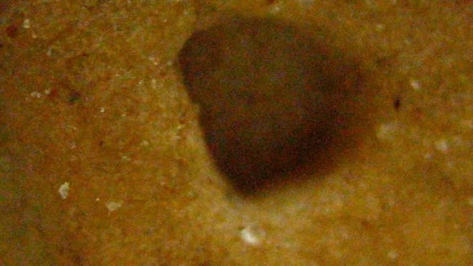 8 Missing Snacks From the '90s That Fans Still Miss Today