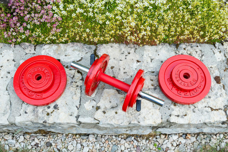 Allenamento a casa: 2 manubri sono tutto quello che ti serve per ...