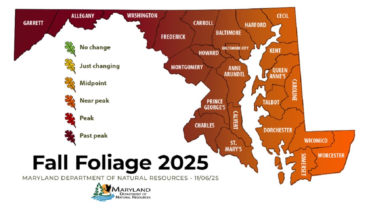 Maryland Fall Foiliage Report for Sat. November 8, 2025