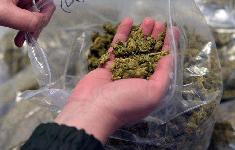 Espagne : Un routier recherché pour trafic de drogue en Allemagne arrêté avec 500.000 euros de ...