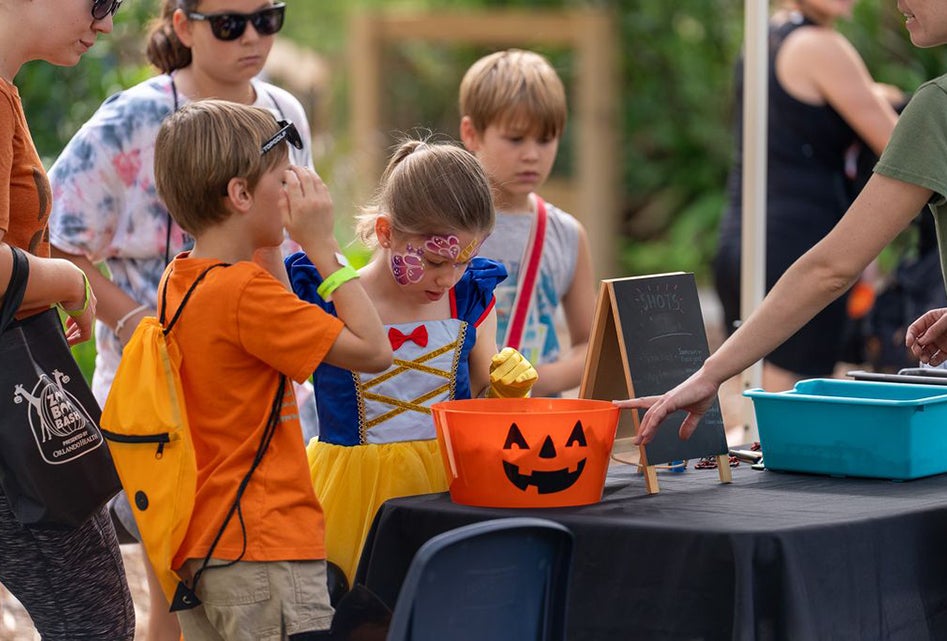 Fun Things to Do in Orlando This Weekend With Kids
