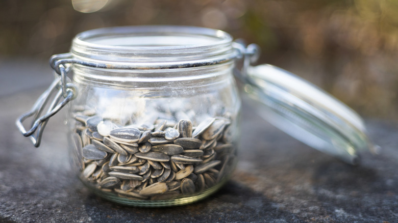 What To Know Before Using Sunflower Seeds To Kill Weeds In Your Garden