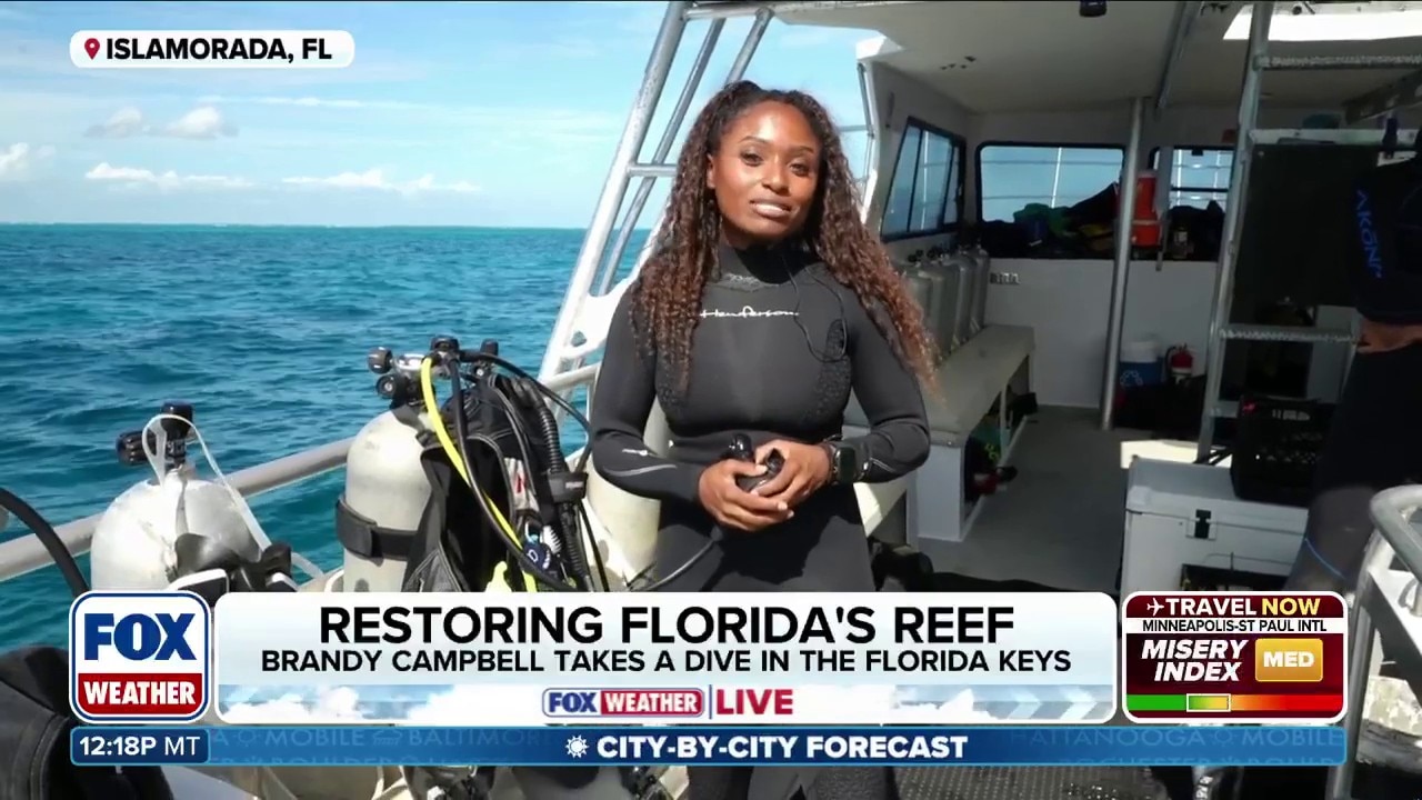 Take A Dive Into The Restoration of Florida's Reefs With FOX Weather's ...
