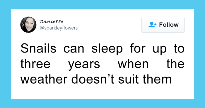 Someone Starts A Twitter Thread On The Most Random Facts And 32 People ...