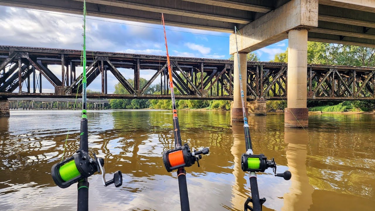 Fall fishing under the stars