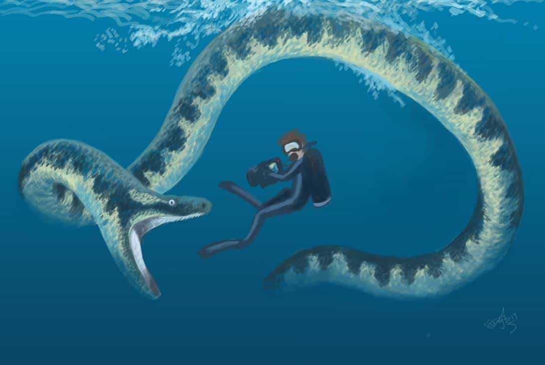 The Massive Sea Snake That Once Fed on Giant Whales