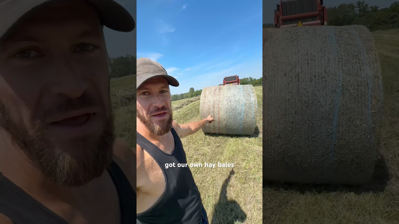 We made our own hay bales! What a journey 🌾