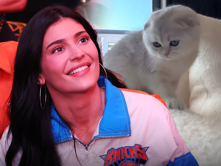 Kylie Jenner Shares Sports Bra Selfie, Photos of New Cat in Instagram Drop