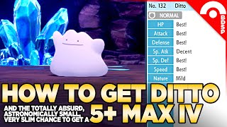 How to Get a 5+ MIX IV Ditto (And Why You Won't Want To) Pokemon ...