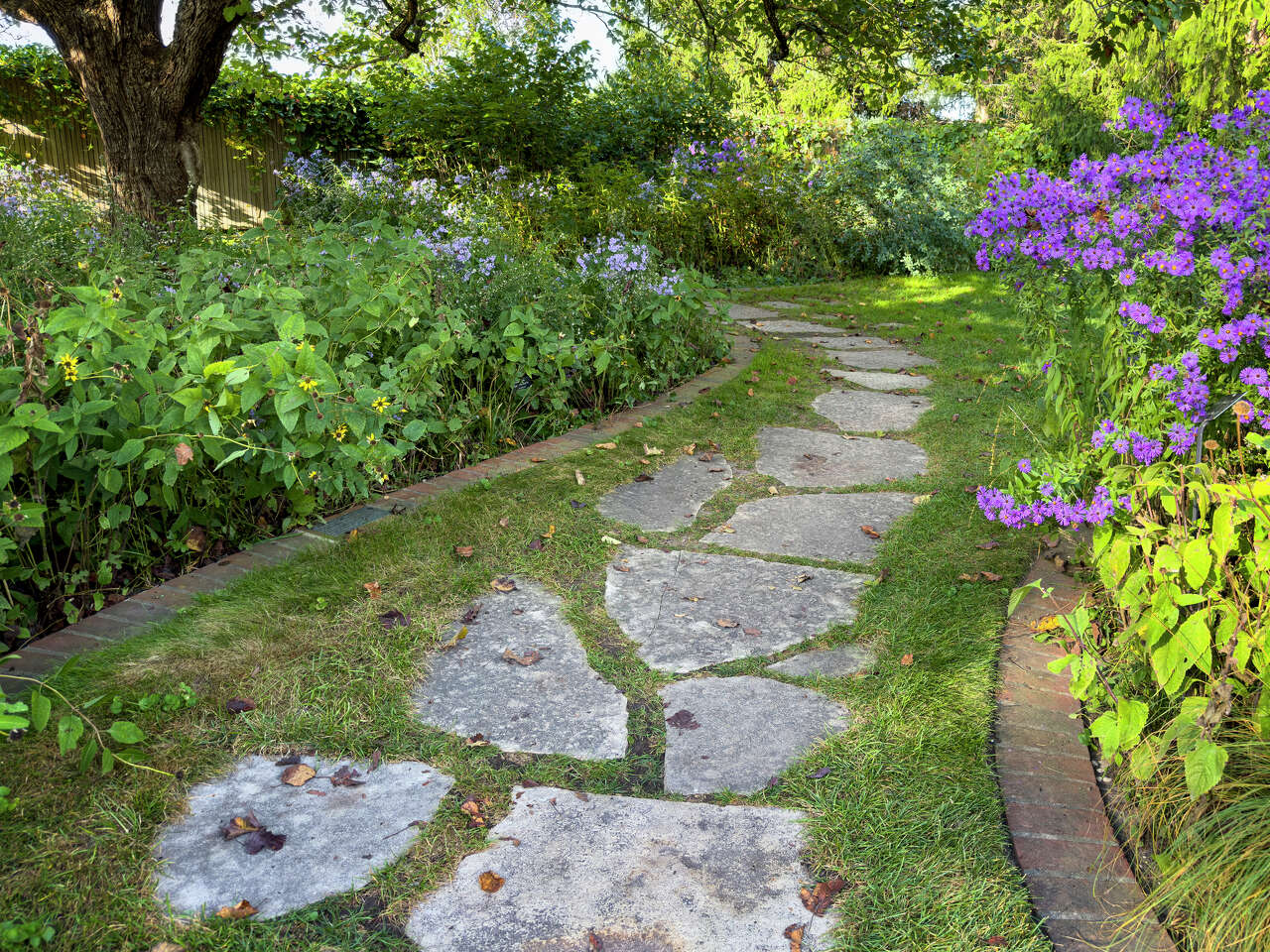 Start a native prairie garden using seeds