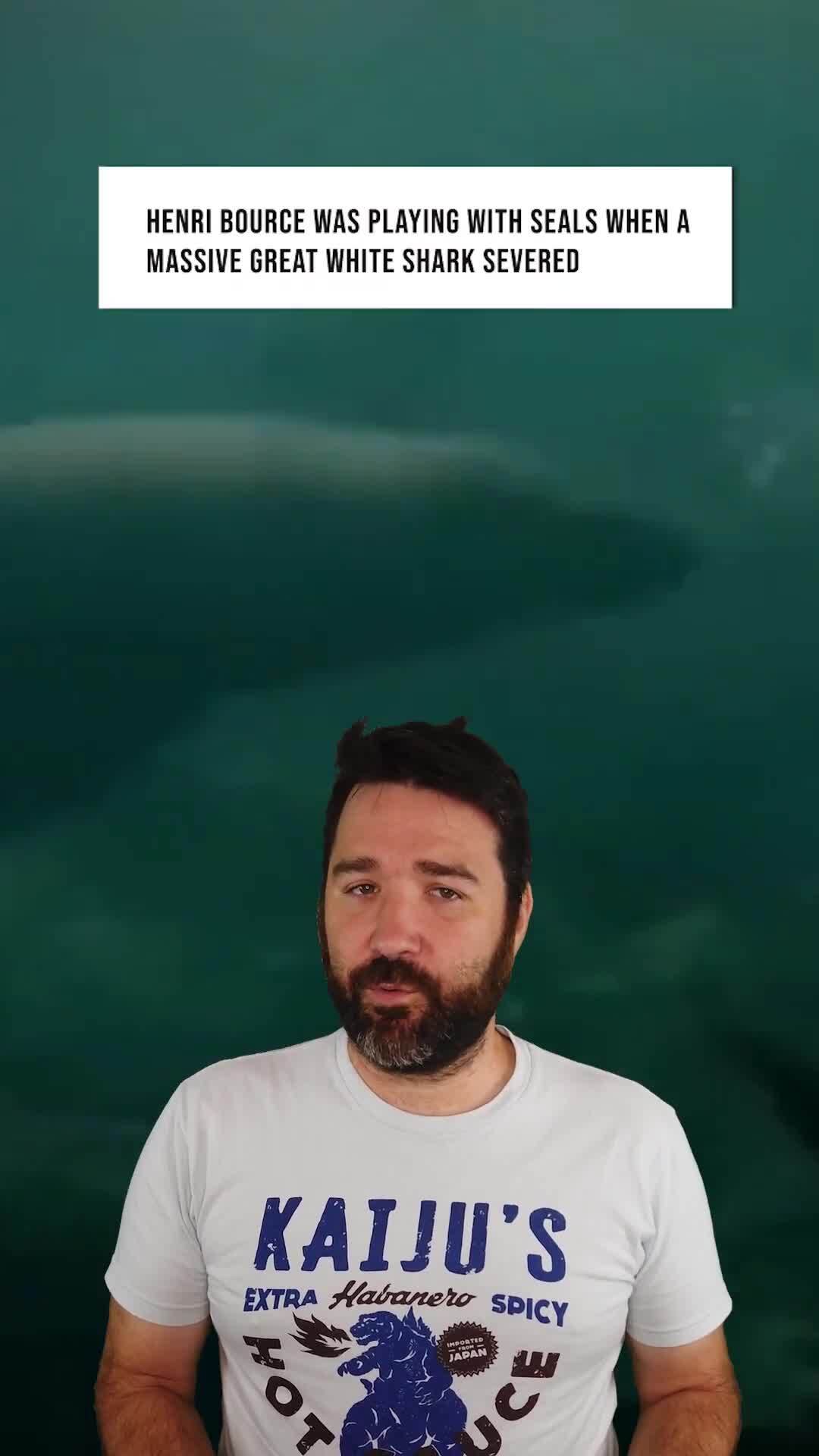 Craziest Shark Attacks Caught On Camera