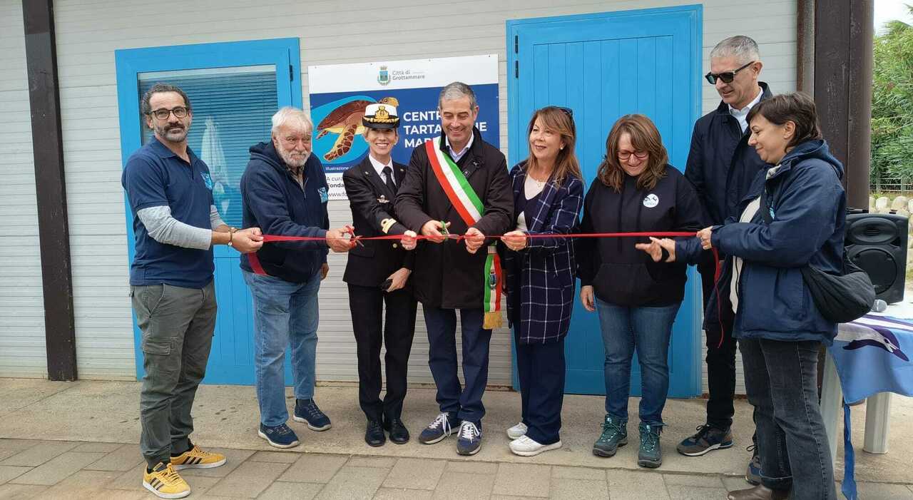 Grottammare, un triage per gli animali marini: è il primo nel sud delle ...