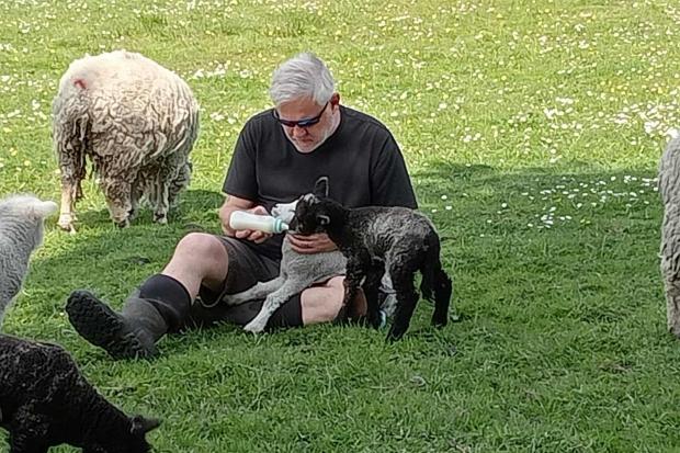 Oldham family opens farm for cuddles with 'fluffy' sheep and dog training