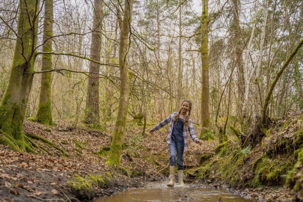 New 'feel good' nature trails open to families this autumn