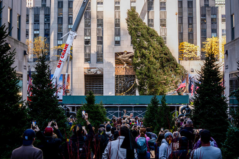 The 2025 Rockefeller Center Christmas tree arrives in New York City ...
