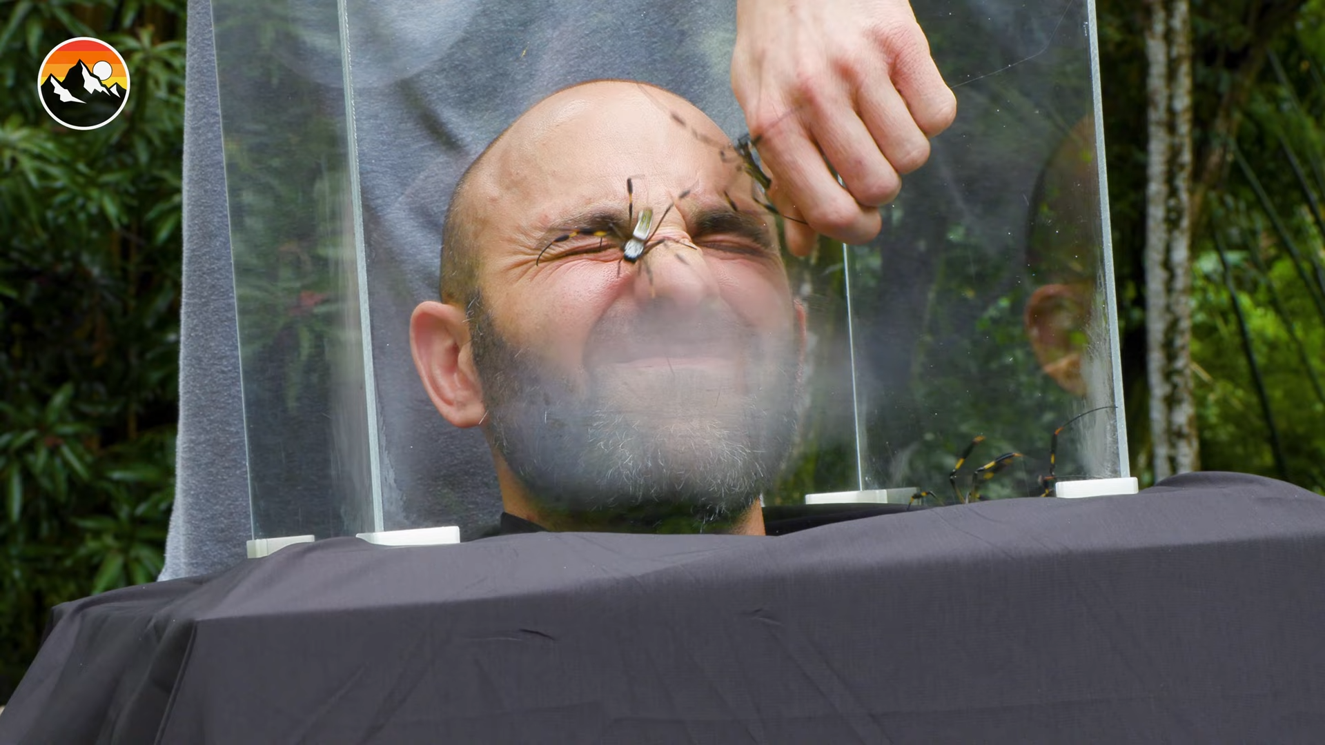 The Terrifying Spider Helmet Discovery