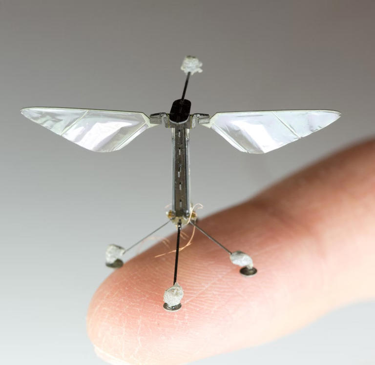 The rise of mosquito-sized drones in modern warfare