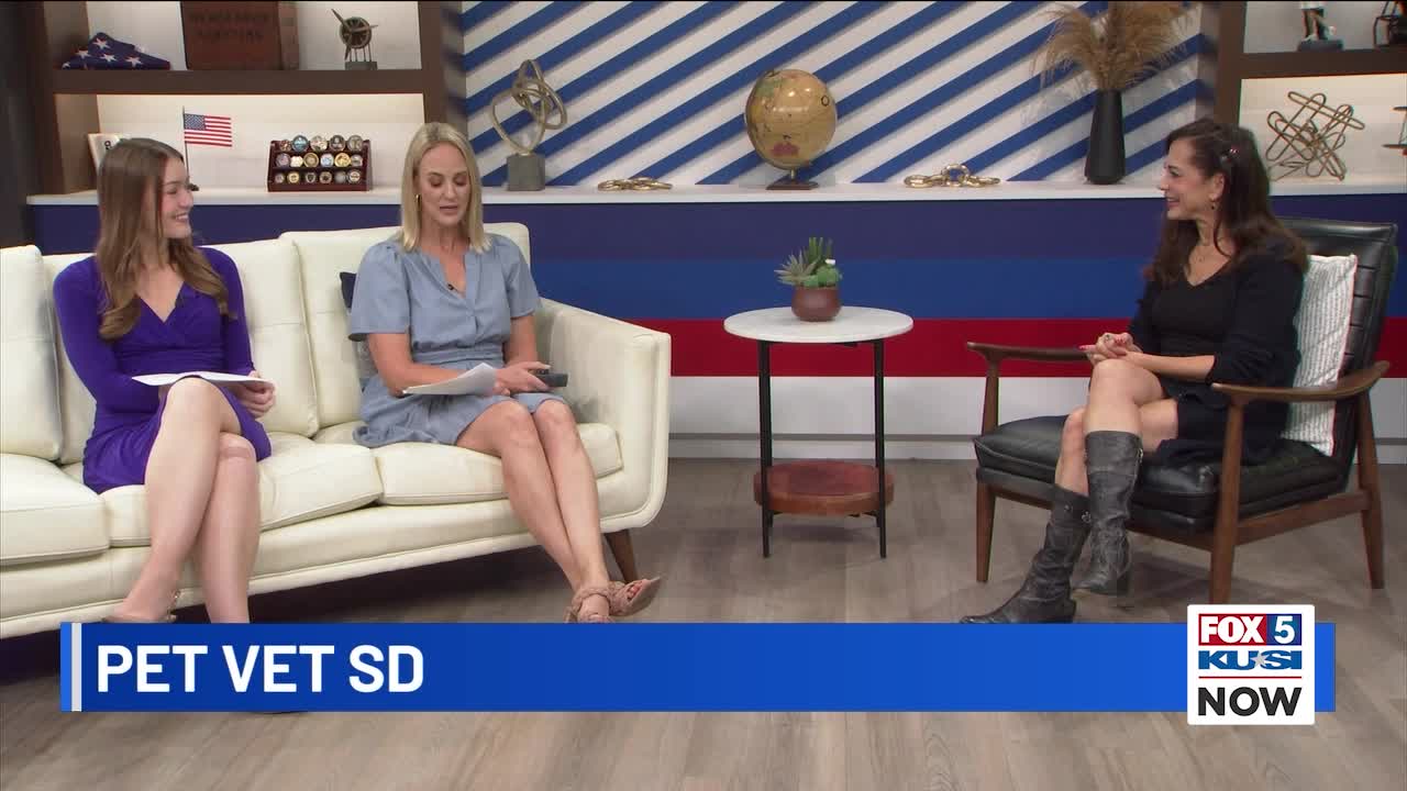 Pet Allergies | Pet Vet SD