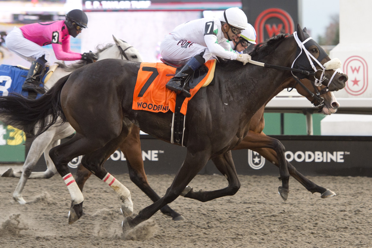 Sultana Rallies Last To First In Maple Leaf Thriller