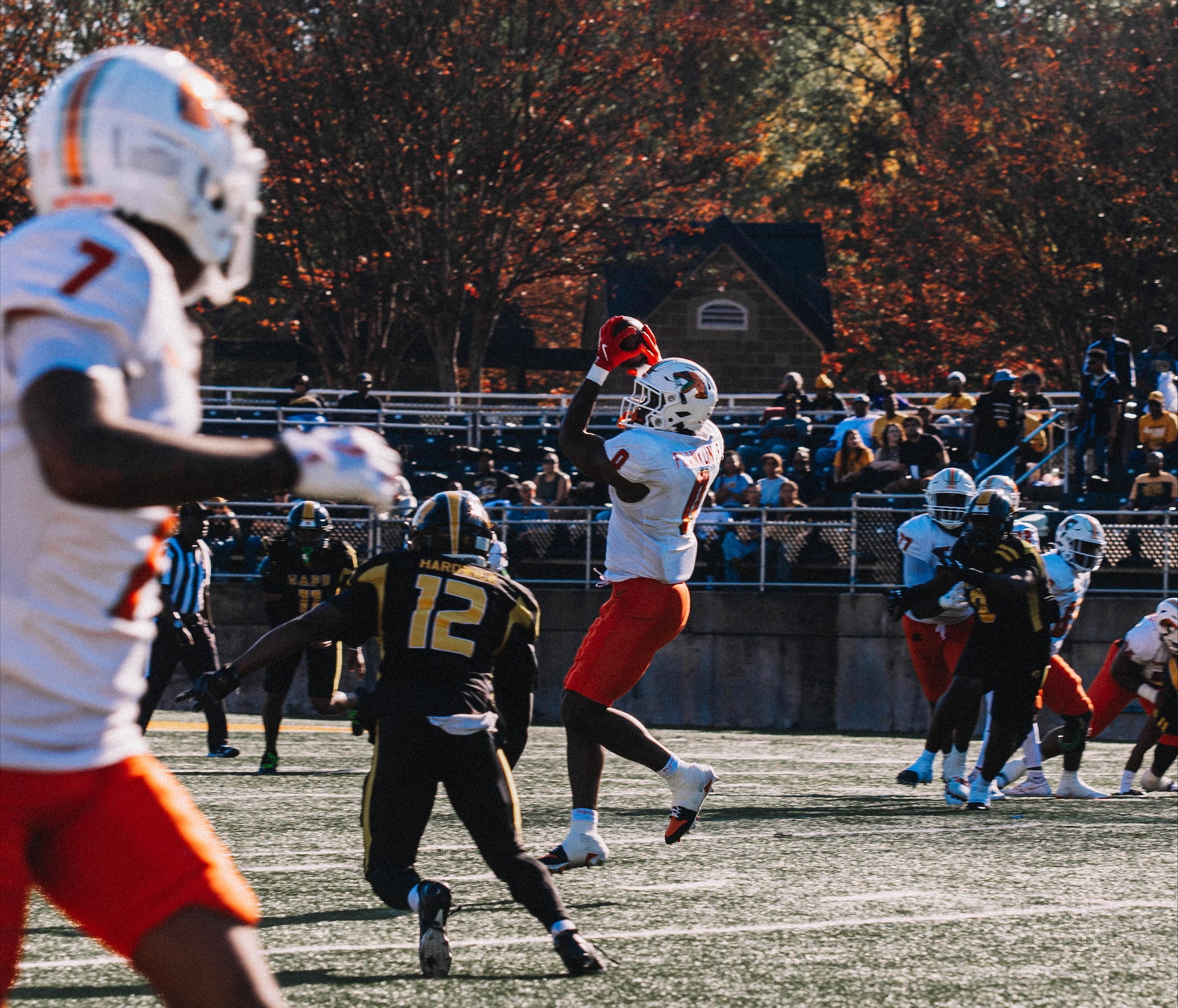 FAMU football holds off Arkansas-Pine Bluff in tight Week 11 SWAC road ...