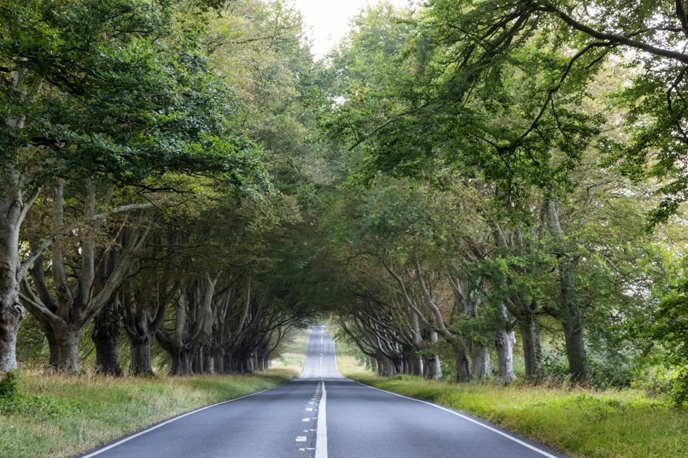 Archaeology breakthrough as nearly 185,000 miles of Roman roads mapped