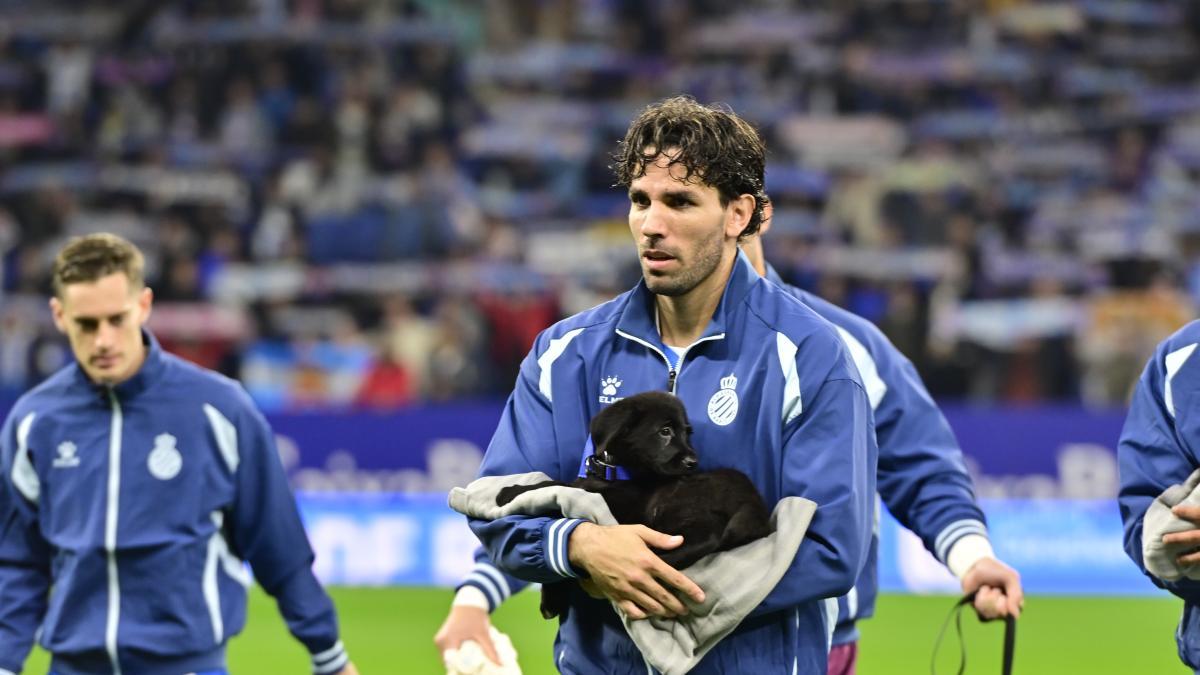 Cabrera: "Es una derrota dolorosa"