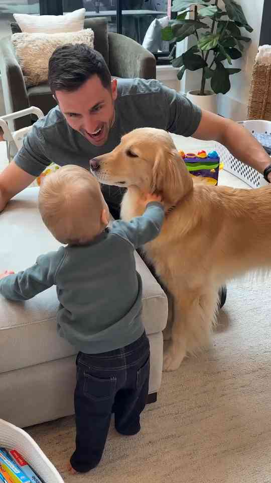 Why Dogs Make the Best Friends