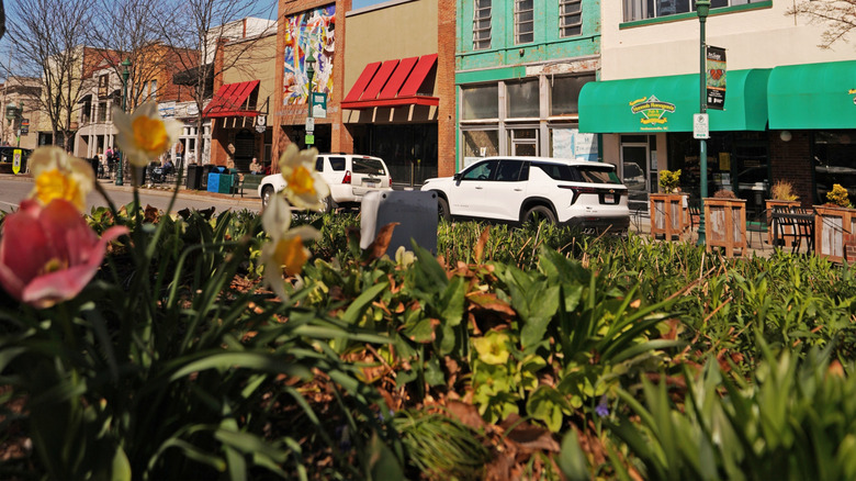 Wedged Between Two North Carolina Rivers Is This Sweet, Scenic Town ...