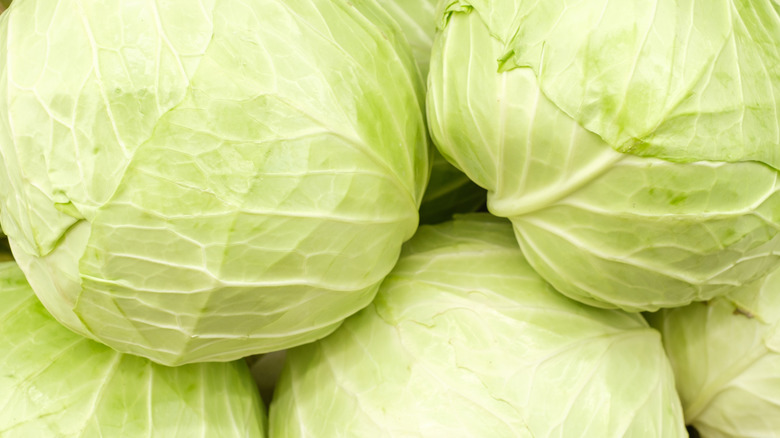 Transform Bland Cabbage Into Something Magical With This Viral Cooking ...