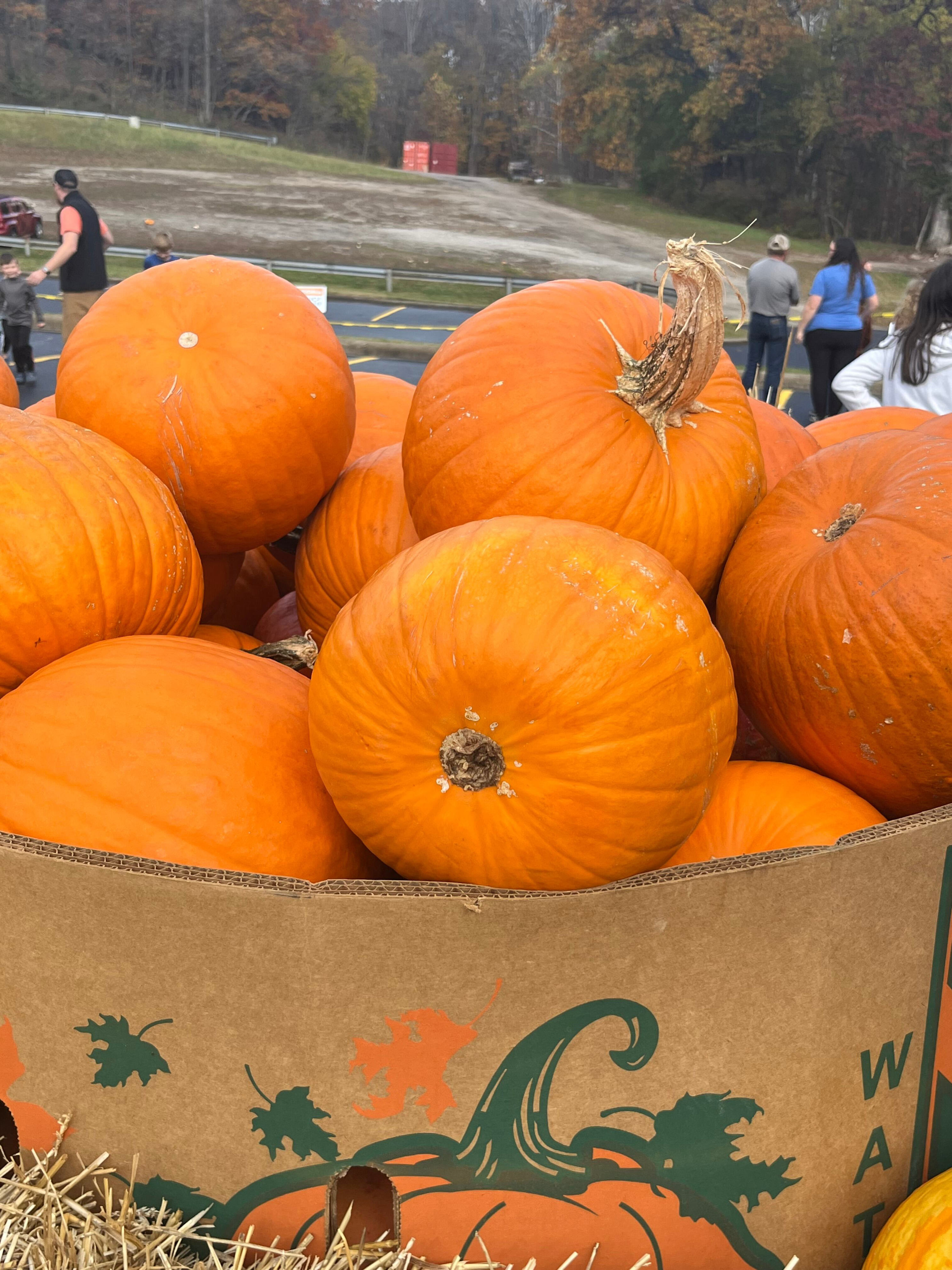 Third annual Pumpkin Chuckin’ held Saturday afternoon