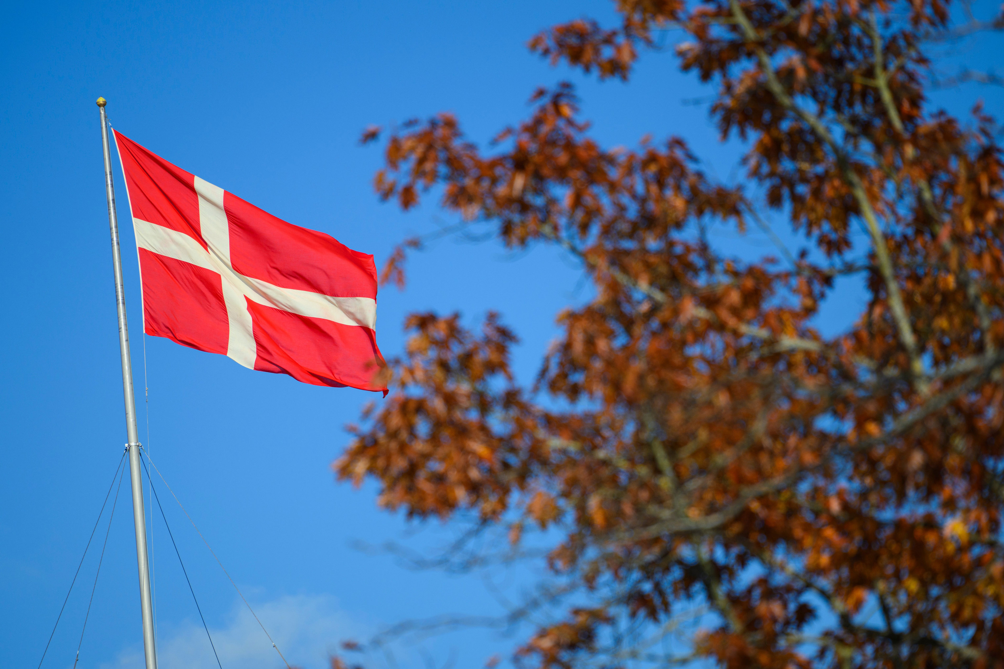 Denmark passes social media ban for users under 15