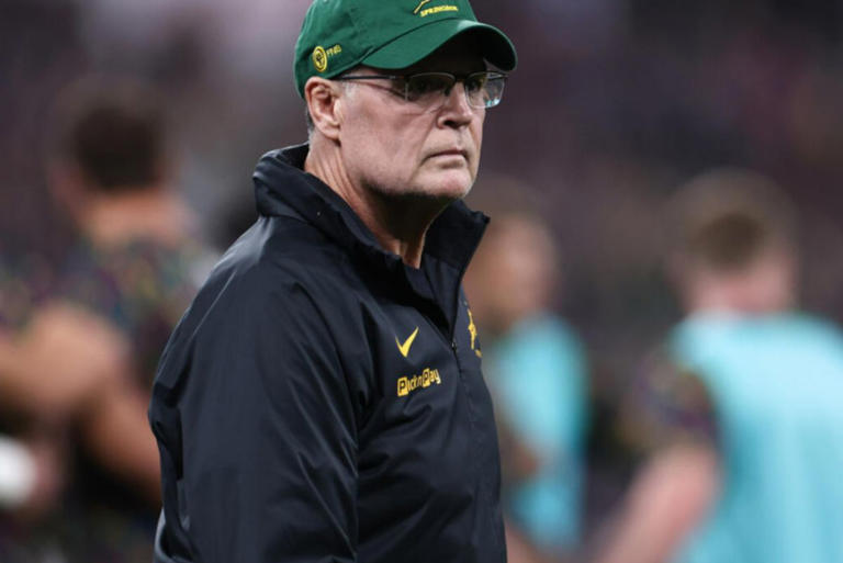 Springbok injury list: Every player sidelined, by position