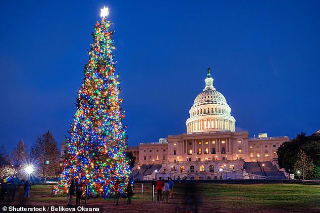 The world's most iconic Christmas trees and how to visit them