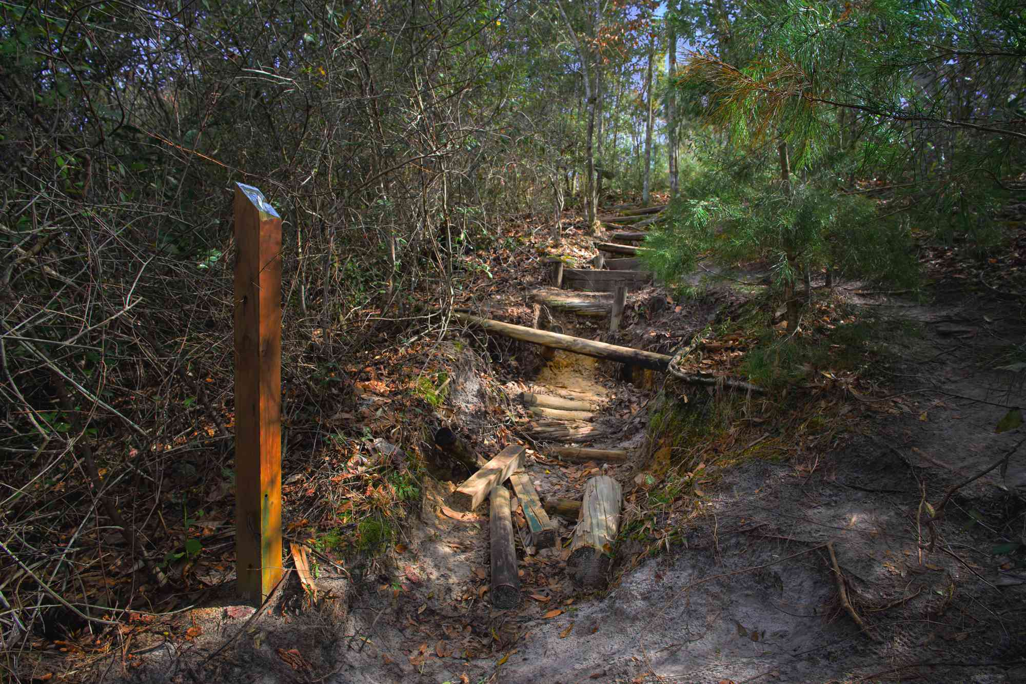 This Florida State Park Looks Like North Carolina—With Waterfalls ...