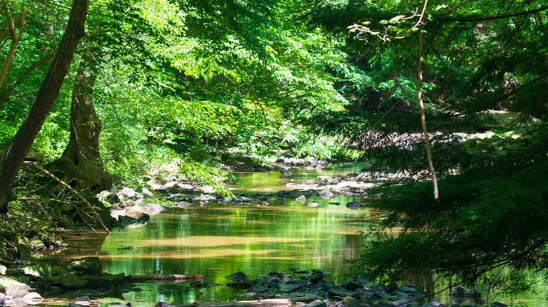 Ohio's Own 'Little Smokies' Is A Wildly Underrated Destination In The ...