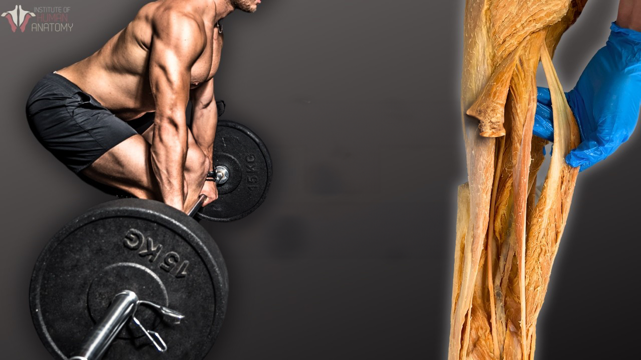 The Ultimate Guide to Leg Day Workouts