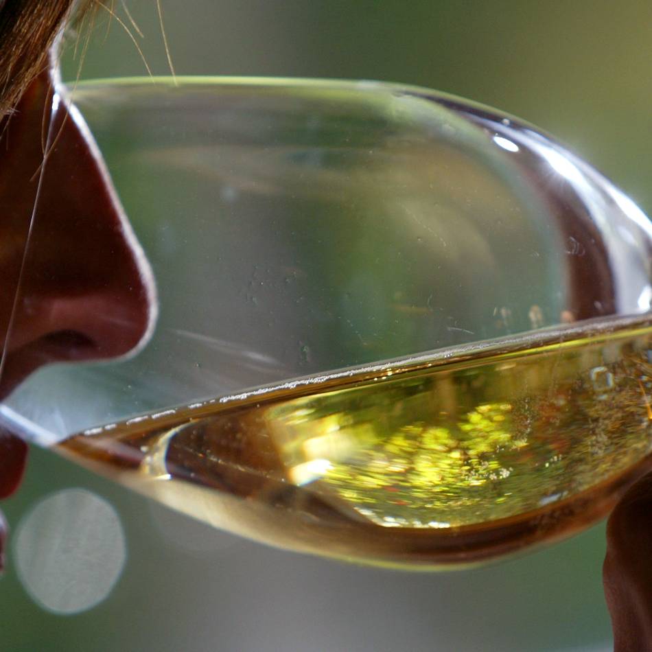 Vinum Weinguide Deutschland 2026: Die Mosel dominiert Deutschland