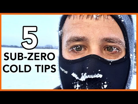 Extreme cold weather homestead tips that actually work