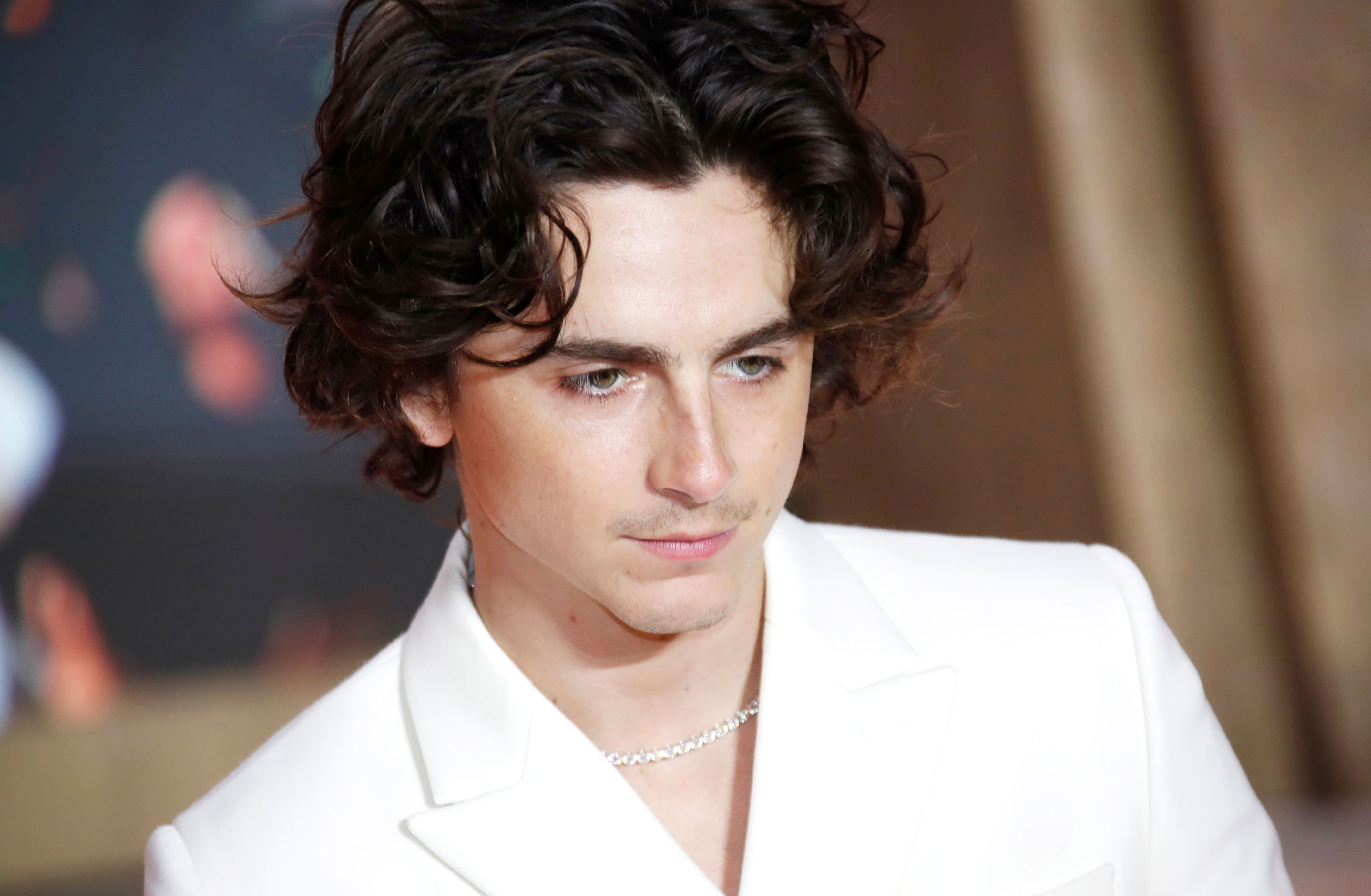 Timothy Chalamet Faces Backlash Over Reproduction Comments