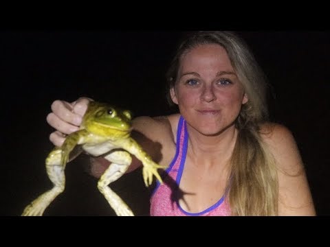 Bullfrog Catching Machine Shows Ultimate Frog Techniques