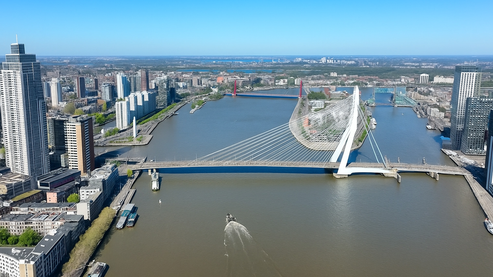 Crossing Rotterdam: Bridges over the Nieuwe Maas