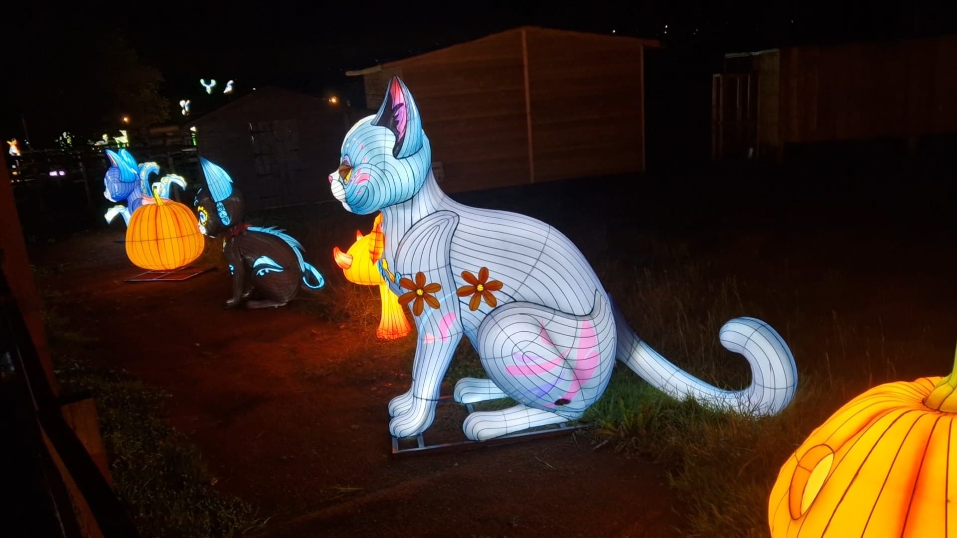 Gulliver's Land of Lights: photos, dates it is open, parking as Paul ...