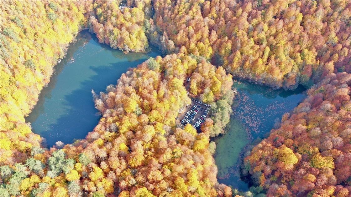 Sonbahar renklerine bürünen "orman denizi" Yedigöller'de ziyaretçi ...